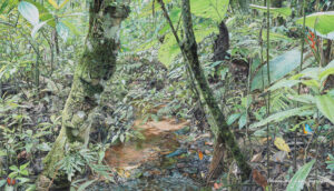 galeria - Alexandre Luiz Segrégio